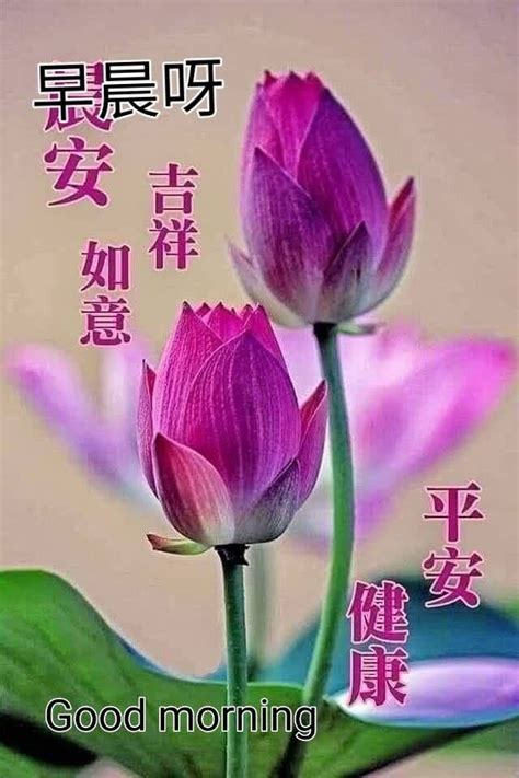 早安老友記，人人身體健康， 事事順心如意 E123長青網 長者服務及老人院資訊
