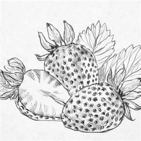 放假没事做，就画画吧草莓物体凹面