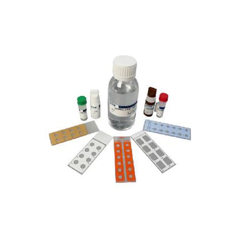 Wholesale Indirect Immunofluorescence Assay Kit Supplier