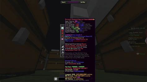 Hypixel Skyblock Diana 48 Hours Youtube