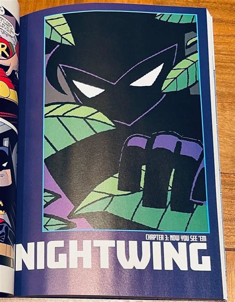 The Batman Adventures The Lost Years Nightwing Rising Hobbies