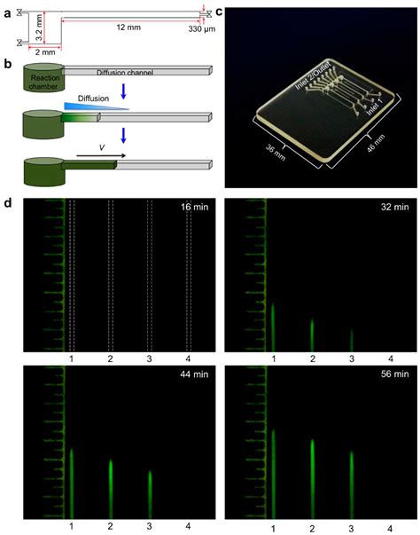 Biosensors Free Full Text Simple Approaches To Minimally