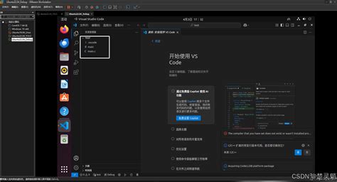 [linux]从零开始的vs code交叉调试arm linux程序教程 vscode调试linux程序 csdn博客