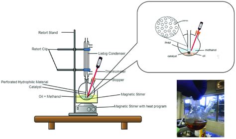 Schematic Design Of The Open System Reactor For The Transesterification Download Scientific