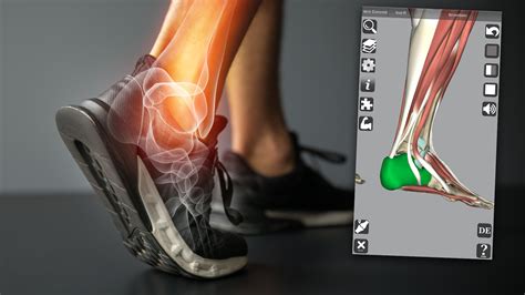 D Anatomie App Eigenen Körper kennenlernen CHIP