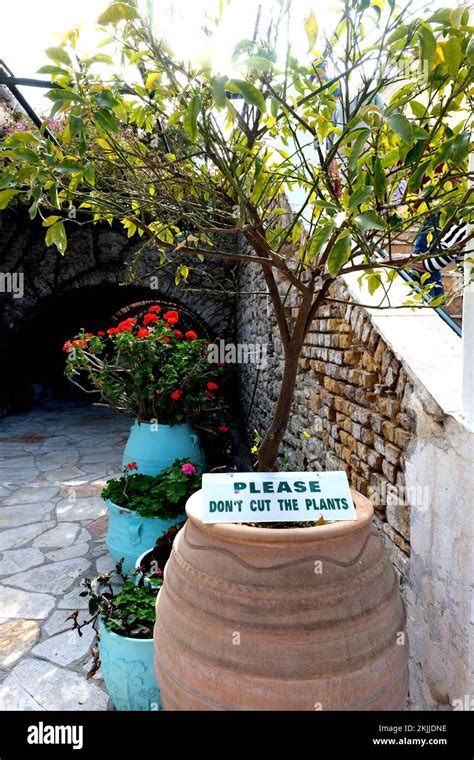 Segno Pianta In Vaso Per Non Tagliare Le Piante Paleokastritsa Corfu