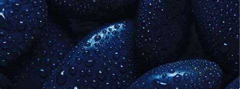 J R Aesthetics Uk Dock Street Hull Fresha