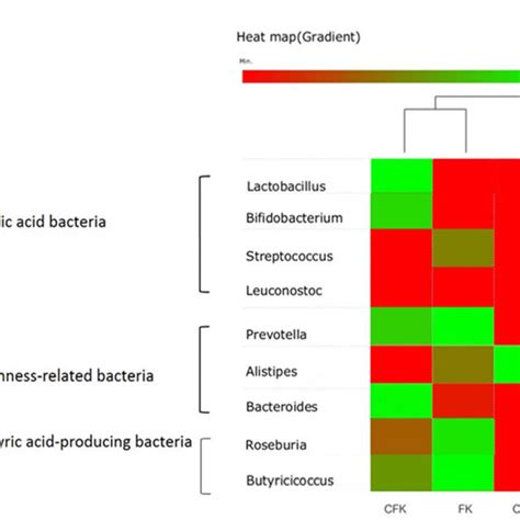 Heat Map Showing The Relative Abundance Of Genera According To The Download Scientific Diagram