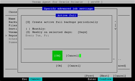 Active Full Backup Settings Veeam Agent For Oracle Solaris User Guide