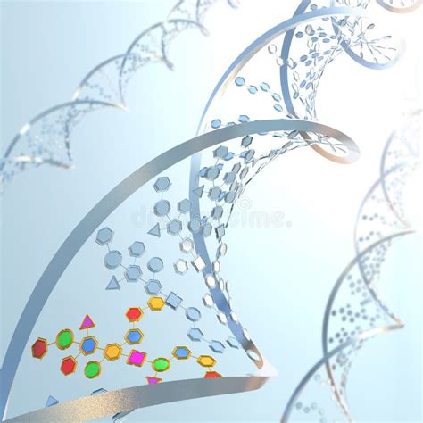 Ribonucleic Acid Chain From Which The Deoxyribonucleic Acid Or Dna Is