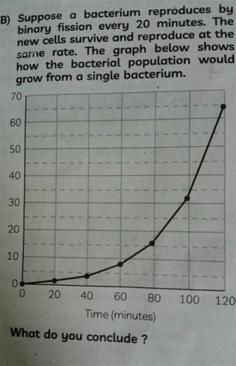 b suppose a bacterium reproduces by binary fission every 20 minutes the