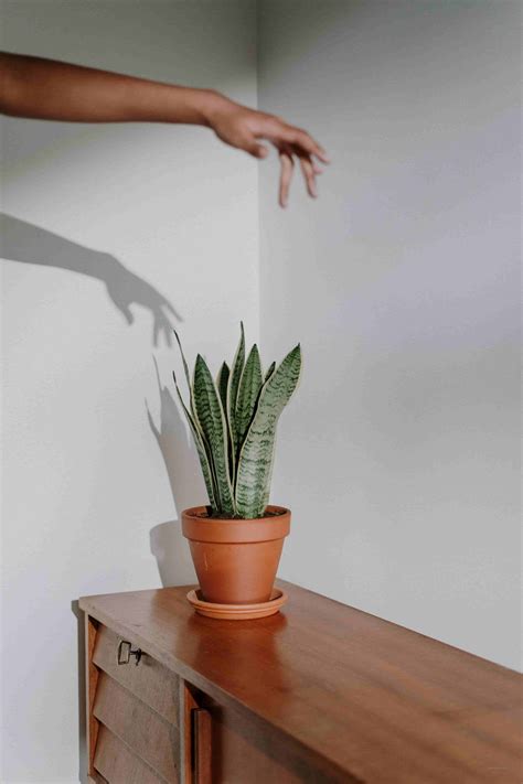 Android Studio Gradle 插件 pom 下载失败别慌我有妙招 ByteZoneX社区