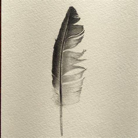 How To Draw A Realistic Feather
