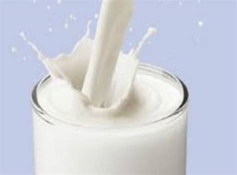 Maharashtra Milk Price News Dairy Business In Maharashtra Rural Economy