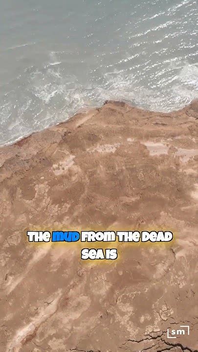 Float On 🌊 Shorts Youtube