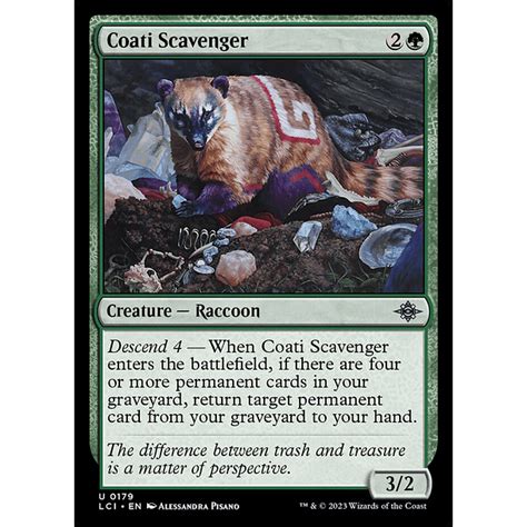 Coati Scavenger Lci U