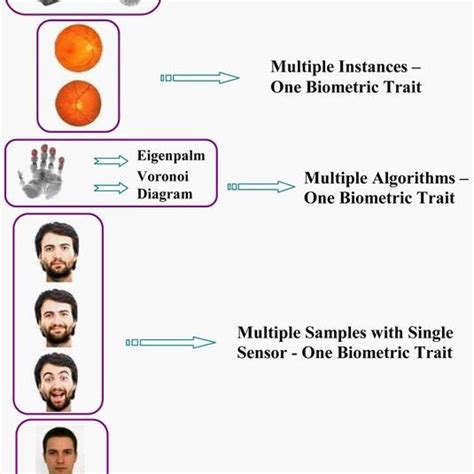 1 Possible Information Sources Of Multibiometric Systems Download