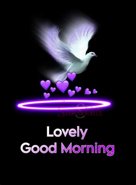 Pin By Samir De On Good Morning Good Night Flowers Good Morning Flowers Good Morning