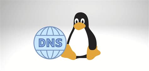 Cómo Cambiar Dns En Linux Guía 2025 Guía Hardware