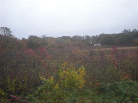 The Tantalizing Tales Of The Taylors Essex Steam Train And Riverboat