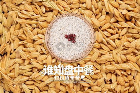 世界粮食日图片素材 正版创意图片401800465 摄图网