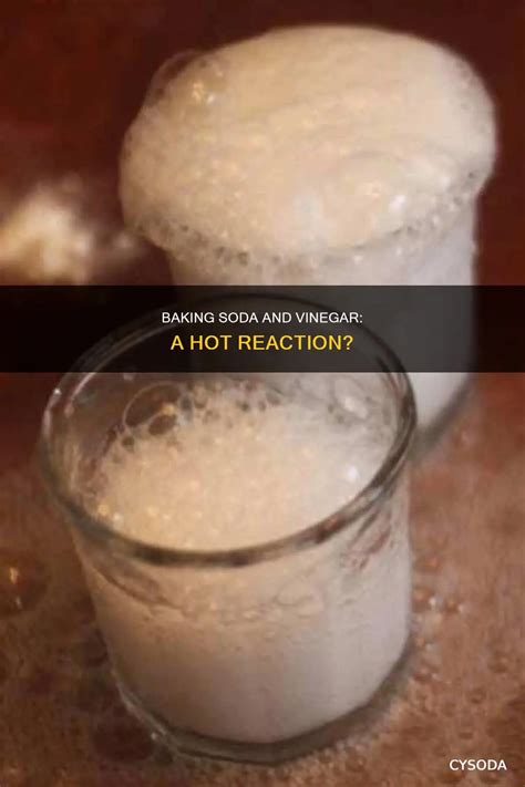 Baking Soda And Vinegar A Hot Reaction Cysoda