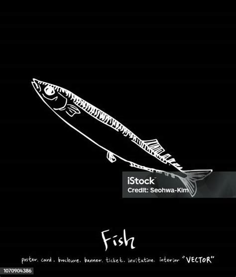 Sketsa Menu Makanan Laut Ilustrasi Stok Unduh Gambar Sekarang Bass