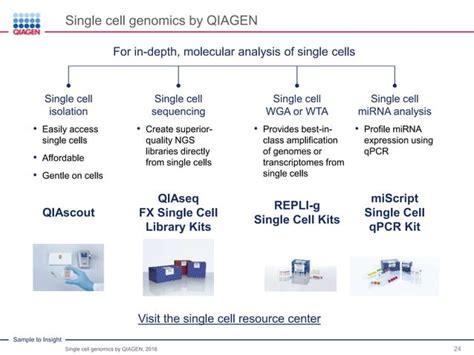 Whole Genome Amplification From Single Cell Pdf
