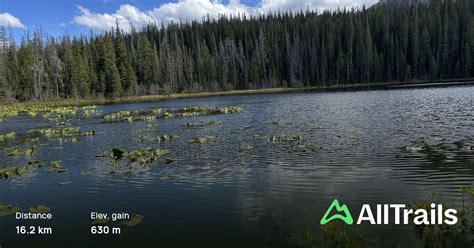 Eagle Nest Colorado 170 Reviews Map Alltrails