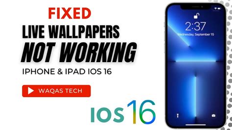 how to fix live wallpaper not working on ios 16 update live