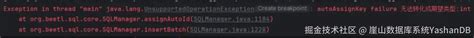 【已解决】javalangclasscastexception Javamathbiginteger Cannot Be Cast