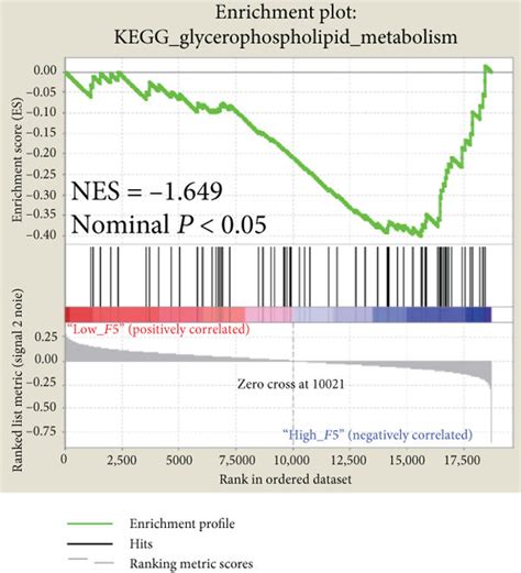 Gsea Analysis Of F5 In Gastric Cancer Patients Using Tcga Database The