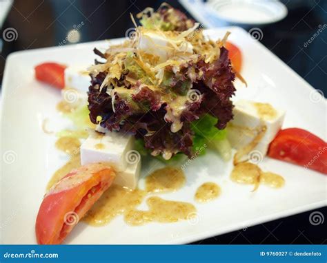 Bean Curd Salad Stock Image Image Of Dinner Vegetable 9760027
