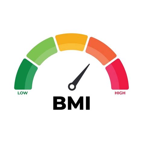 2851 Body Bmi Stock Vectors And Vector Art Shutterstock