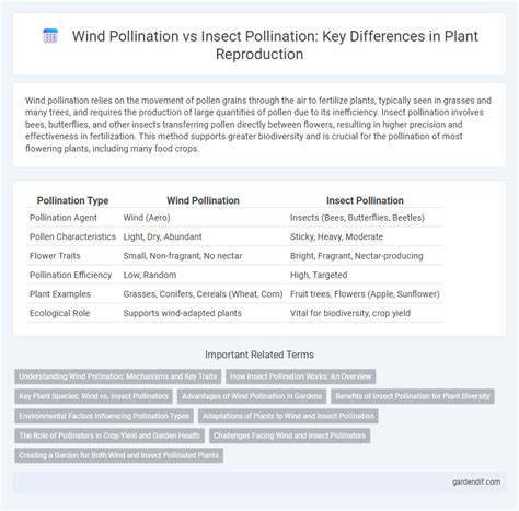Wind Pollination Vs Insect Pollination Key Differences In Plant
