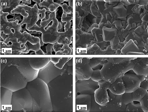 Preparation And Structural Characteristics Of Biphasic Calcium Phosphates From Prawn Shell Bio