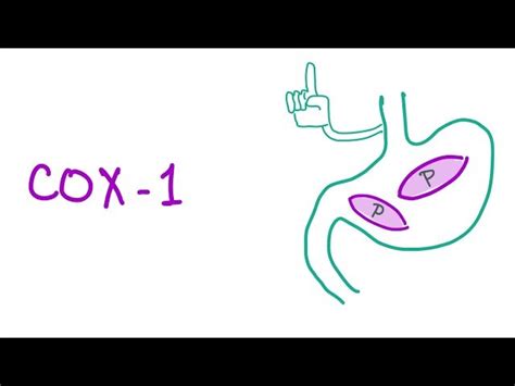 Free Video Cyclooxygenase 1 And Cyclooxygenase 2 All You Need To