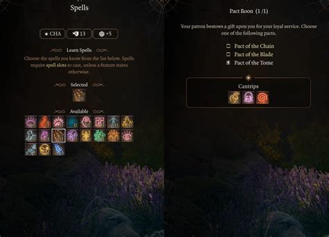 Baldurs Gate 3 Warlock Best Pact Boon Store