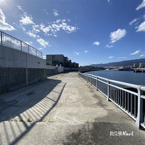 南芦屋浜 東護岸南 潮通しがよく多彩な魚種が楽しめる芦屋屈指の釣りスポット 釣り場Navi