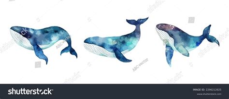 102196 Imágenes De Dibujo De Ballena Imágenes Fotos Y Vectores De