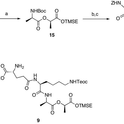 Figure S1 Preparation Of Protected Lactic Acid And Amino Acids Download Scientific Diagram