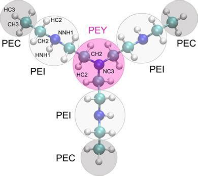 支化聚乙烯亚胺CHARMM 力场和分子动力学模拟 Journal of Computational Chemistry X MOL