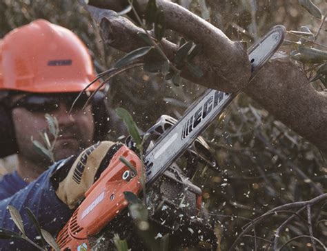 CS TES Top Handle Chain Saw ECHO Australia