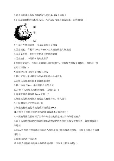 3 3细胞核的结构和功能 课后习题——高一生物学人教版（2019）必修一（worda版含解析） 21世纪教育网 二一教育