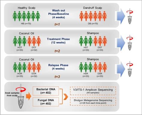 Longitudinal Study Of The Scalp Microbiome Suggests Coconut Oil To