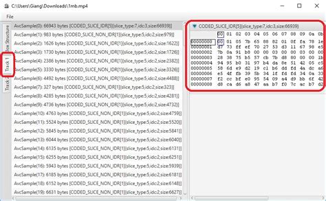 Video Streaming Convert Mp4 Tracks To Images Without Ffmpeg Stack