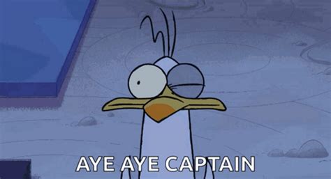 Captain Aye  Aye Aye Captain Animated  Fhyj