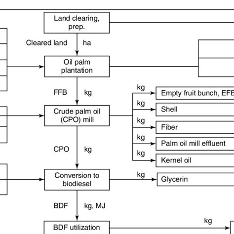 Process Flow Diagram Of Palm Oil Biodiesel Life Cycle Adapted From