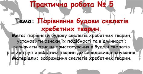 Практична робота №5 Порівняння будови скелетів хребетних тварин Презентація Біологія